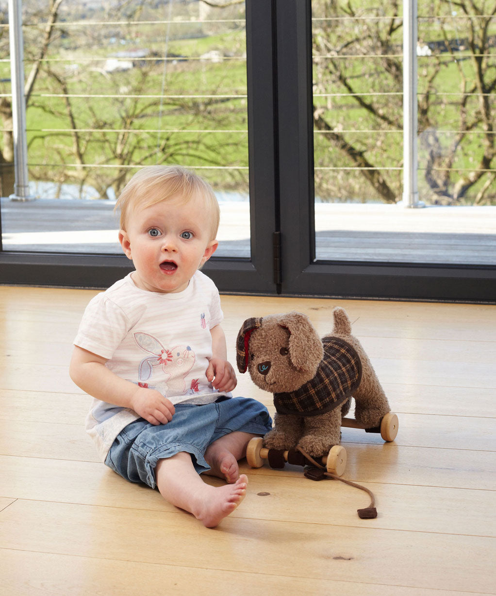 Percy Pup Pull Along Gift – Babygifts.ie
